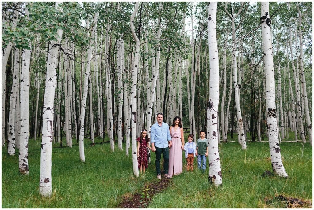 Lockett Meadow Family Photos | Hannah Rose Gray